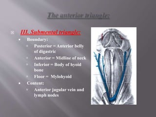 Anatomy of neck triangles | PPT