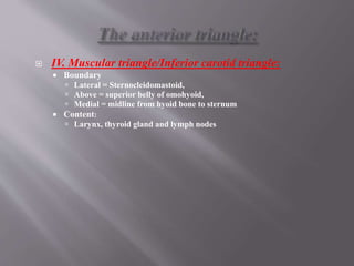 Anatomy of neck triangles | PPT