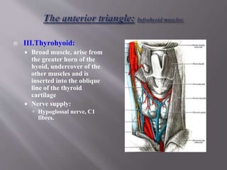 Anatomy of neck triangles | PPT