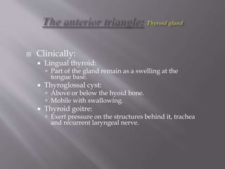 Anatomy of neck triangles | PPT