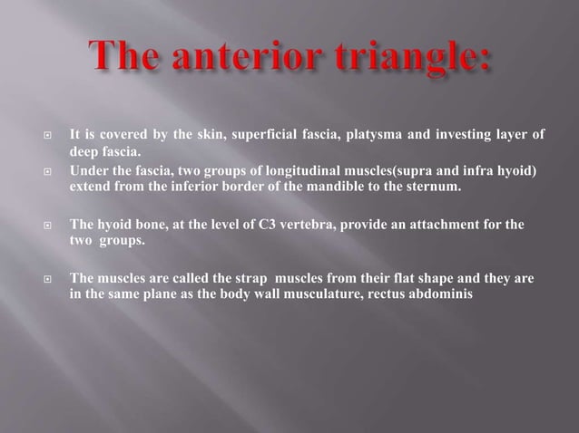 Anatomy of neck triangles | PPT | Thyroid Disorders | Endocrine and ...