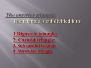 Anatomy of neck triangles | PPT