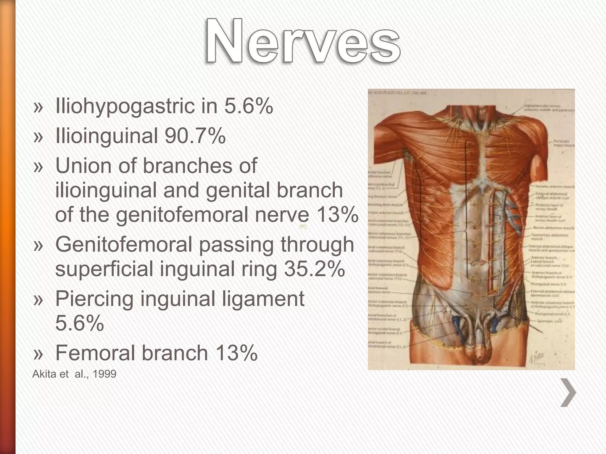 Anatomy of nerve_injuries_lower_limb | PPT