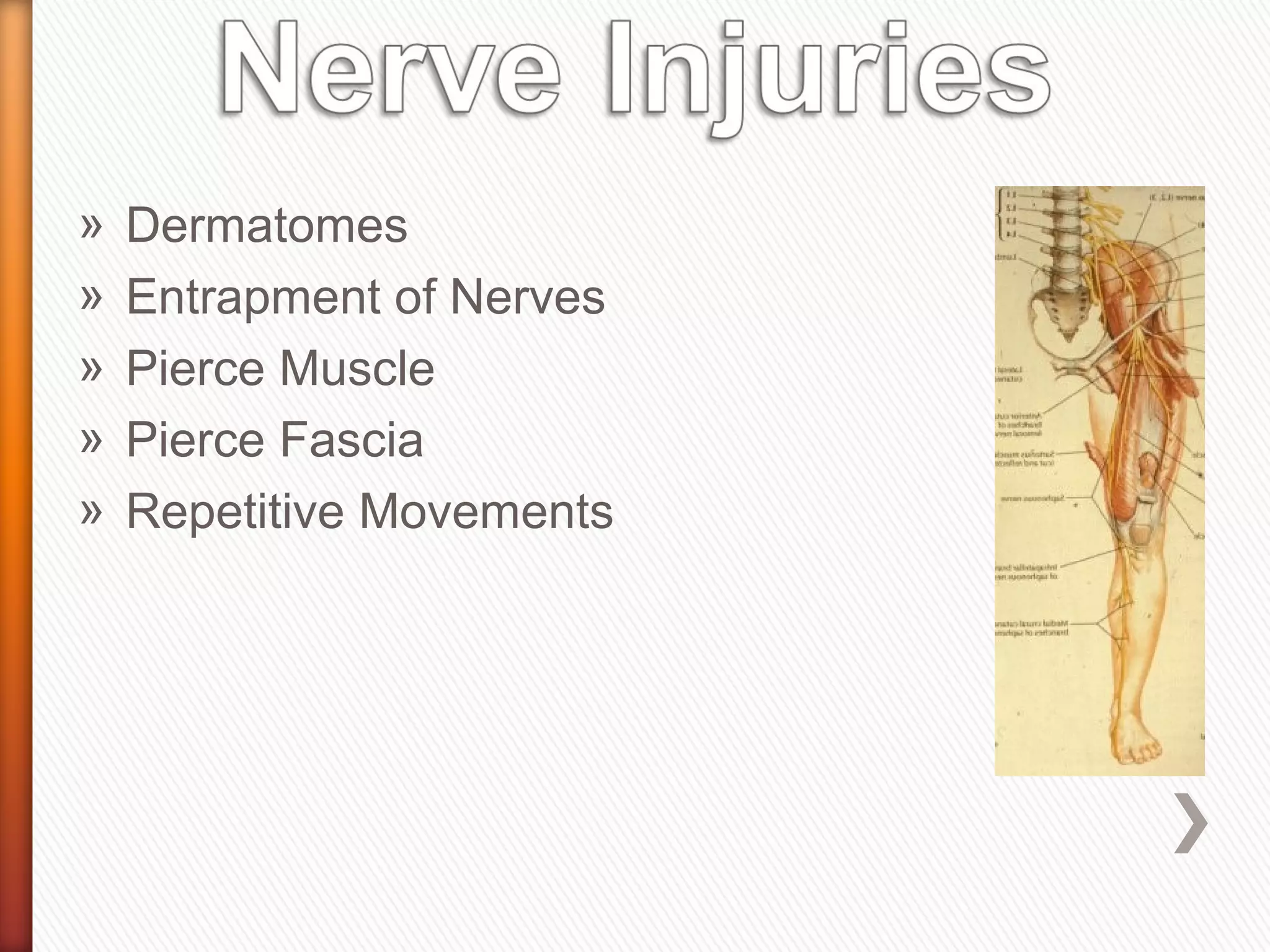 Anatomy of nerve_injuries_lower_limb | PPT