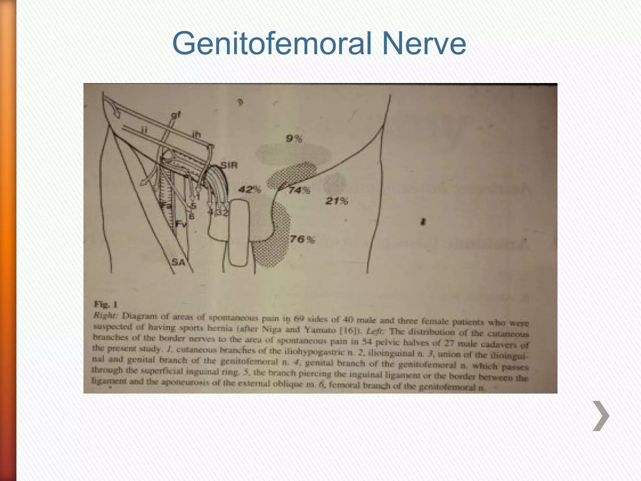 Anatomy of nerve_injuries_lower_limb | PPT