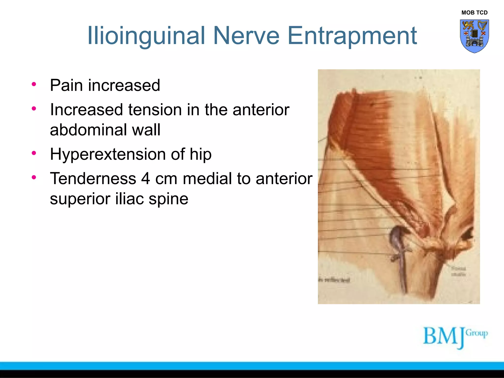 Anatomy of nerve_injuries_lower_limb | PPT