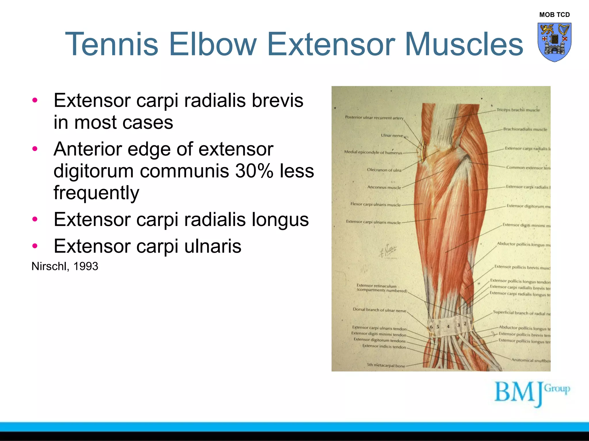 Anatomy of nerve injuries upper limb | PPT