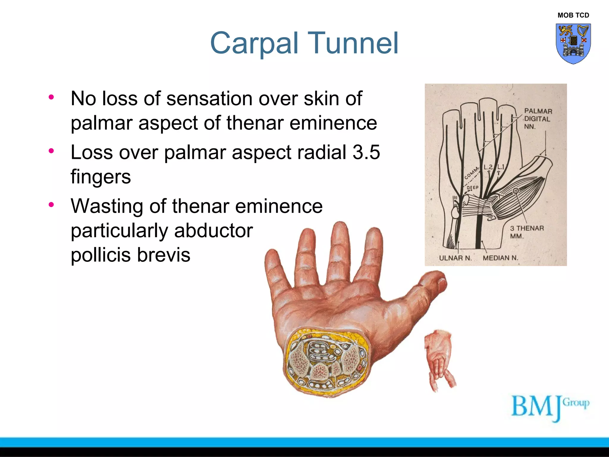 Anatomy of nerve injuries upper limb | PPT