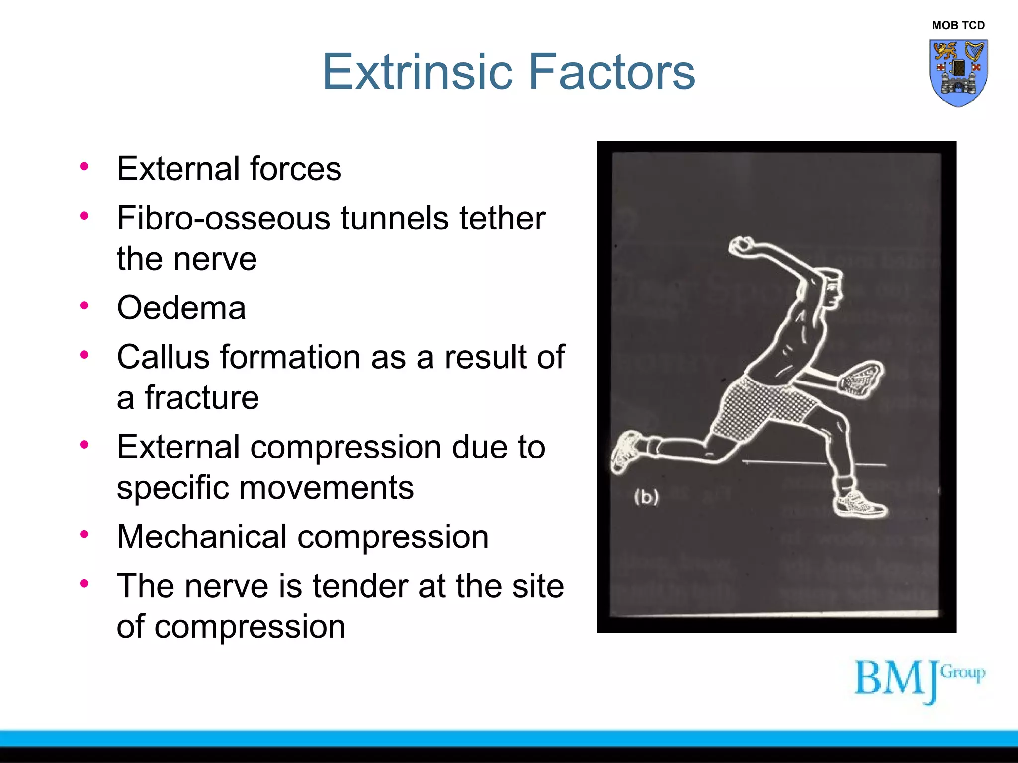 Anatomy of nerve injuries upper limb | PPT