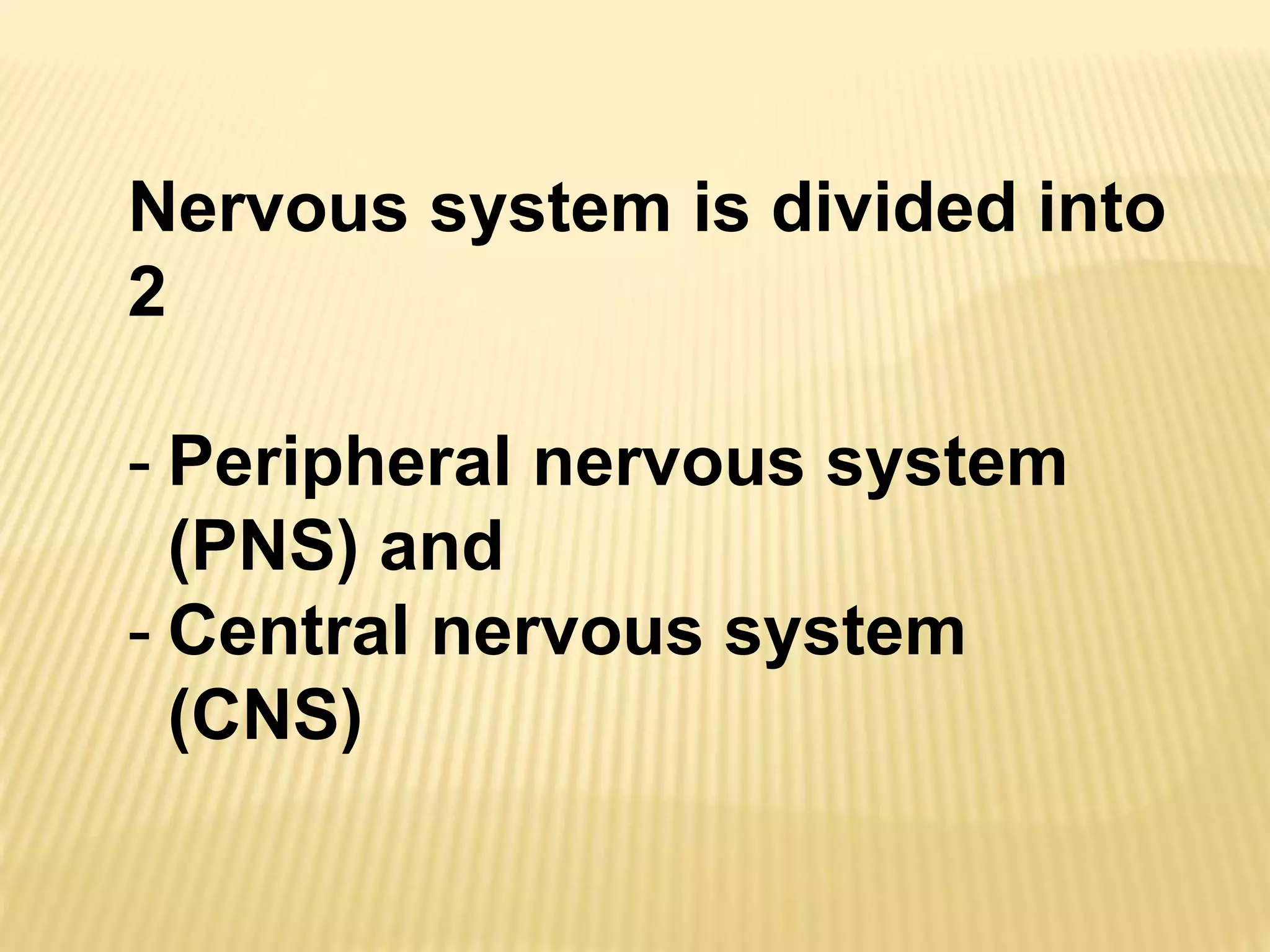 Anatomy of nervous system | PPTX