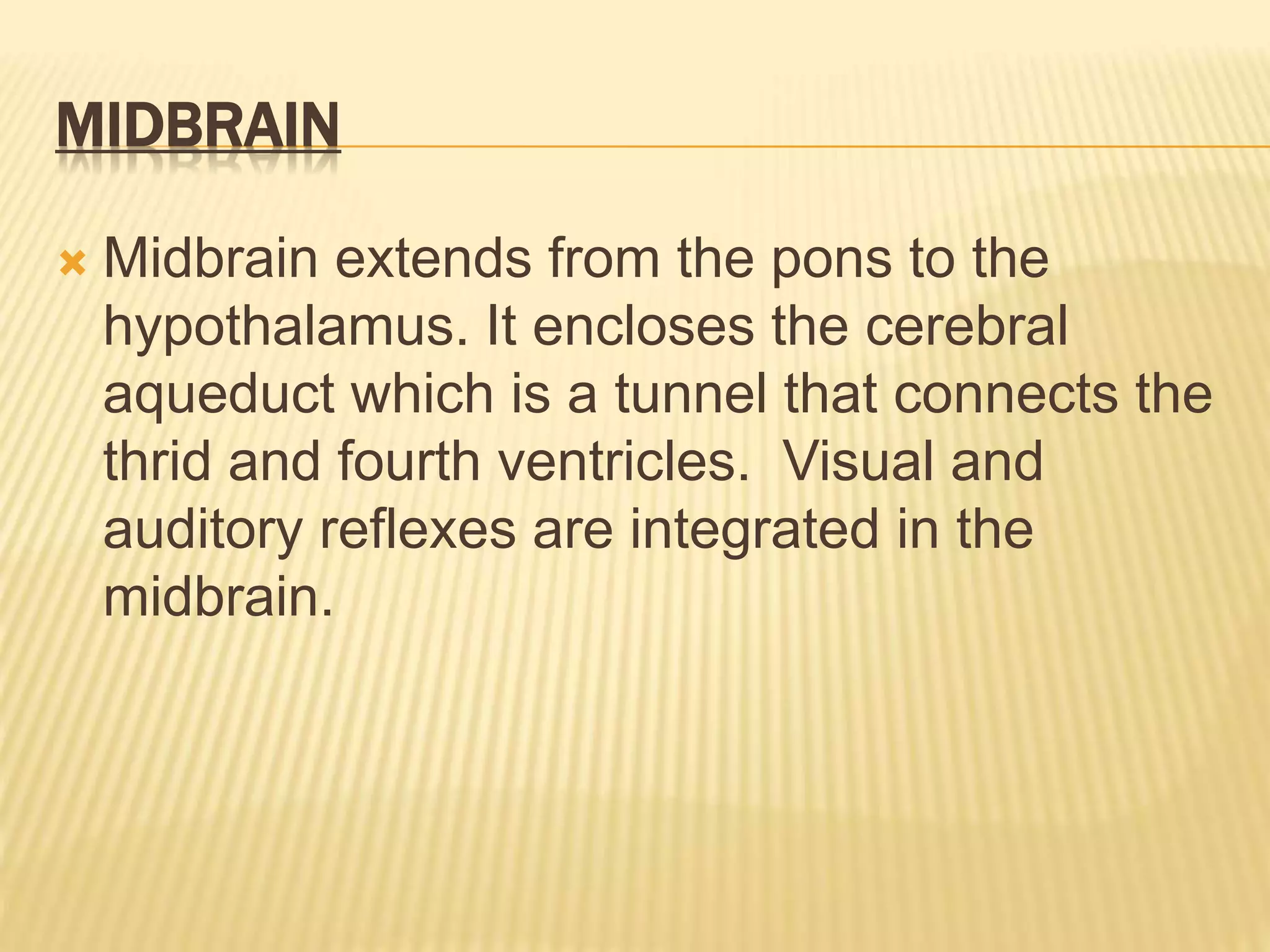 Anatomy of nervous system | PPTX