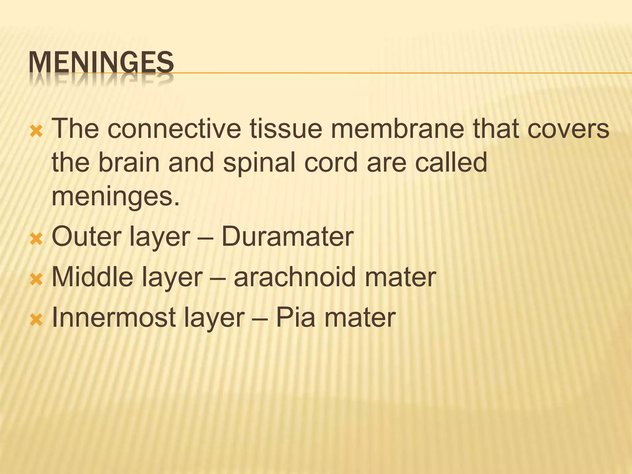 Anatomy of nervous system | PPTX