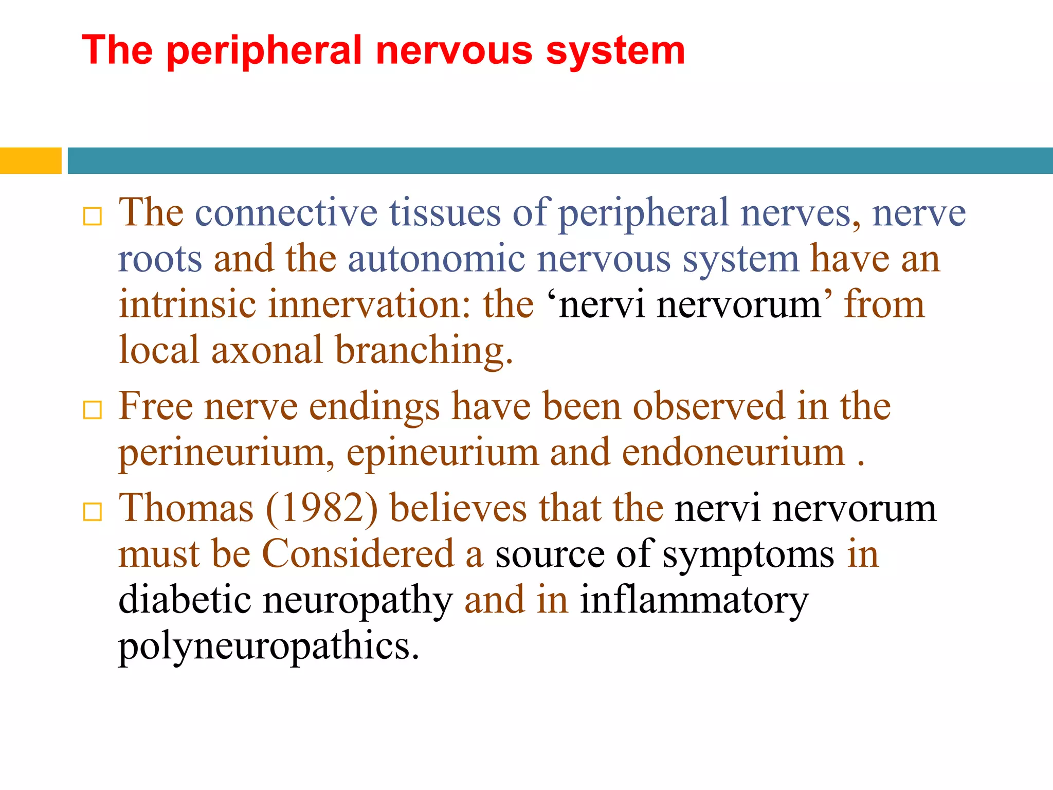 Functional Anatomy of nervous system ( Spine ) | PPTX