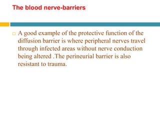 Functional Anatomy of nervous system ( Spine ) | PPTX