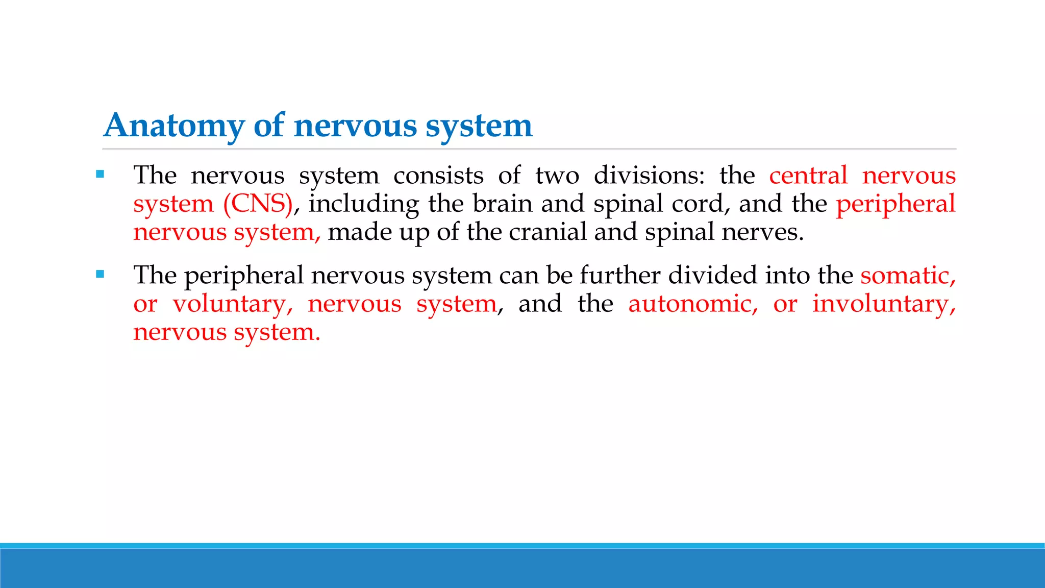Anatomy of nervous system.pptx