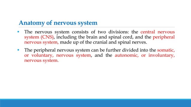 Anatomy of nervous system.pptx