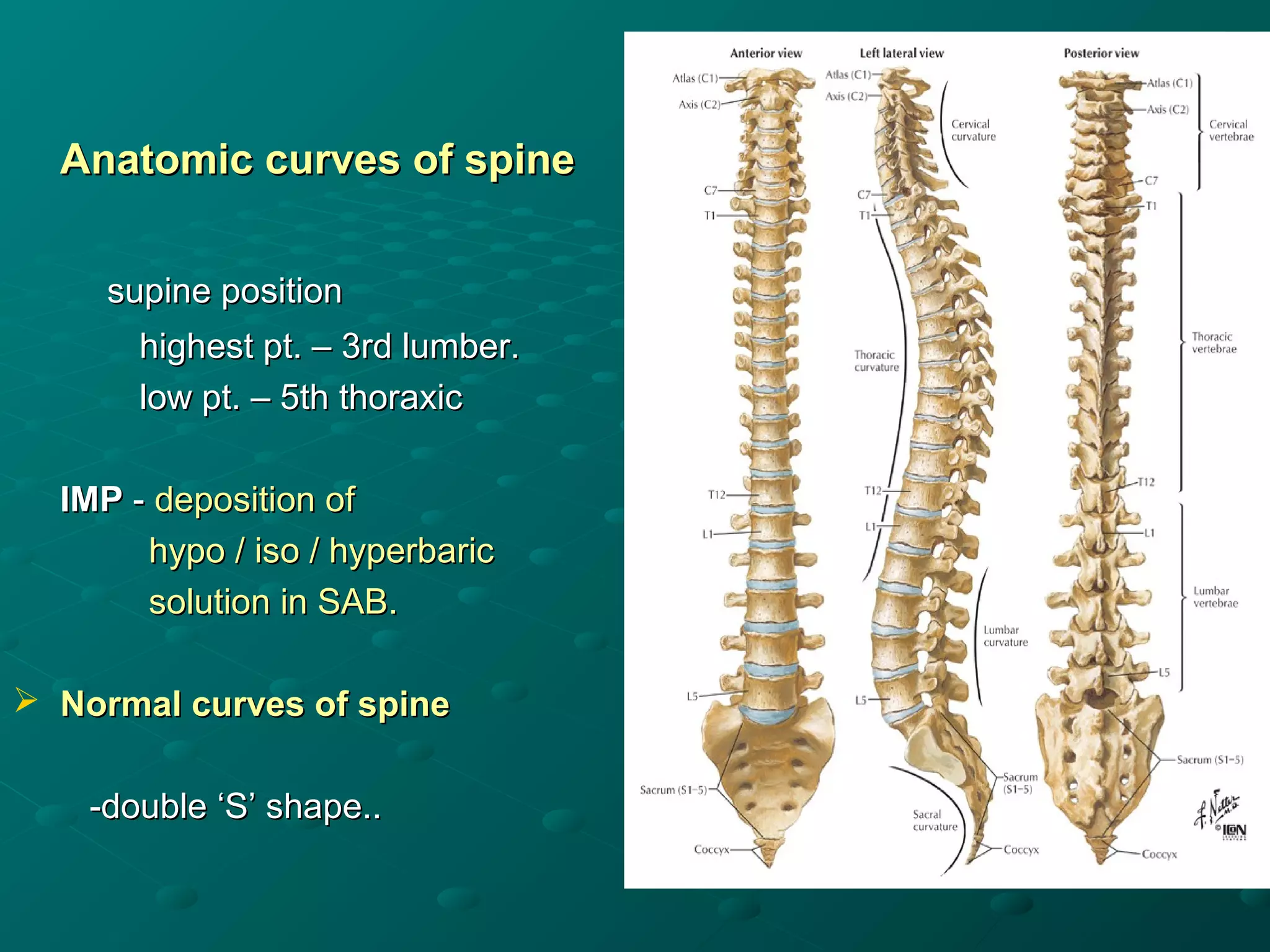 Anatomy of neuroaxial system final | PPT