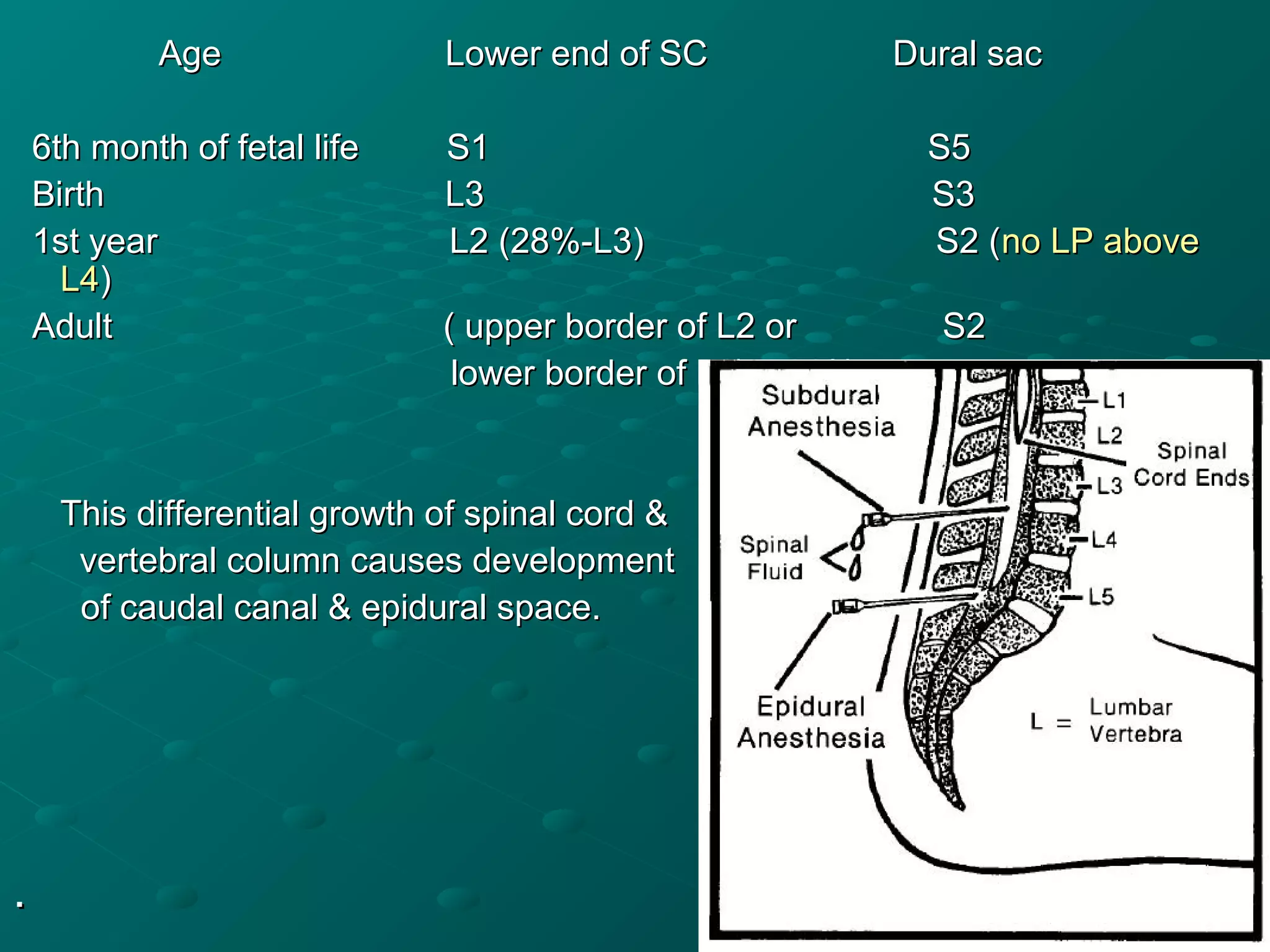 Anatomy of neuroaxial system final | PPT