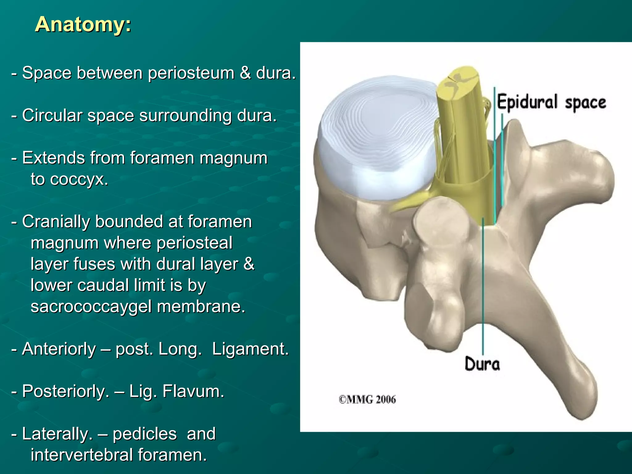 Anatomy of neuroaxial system final | PPT