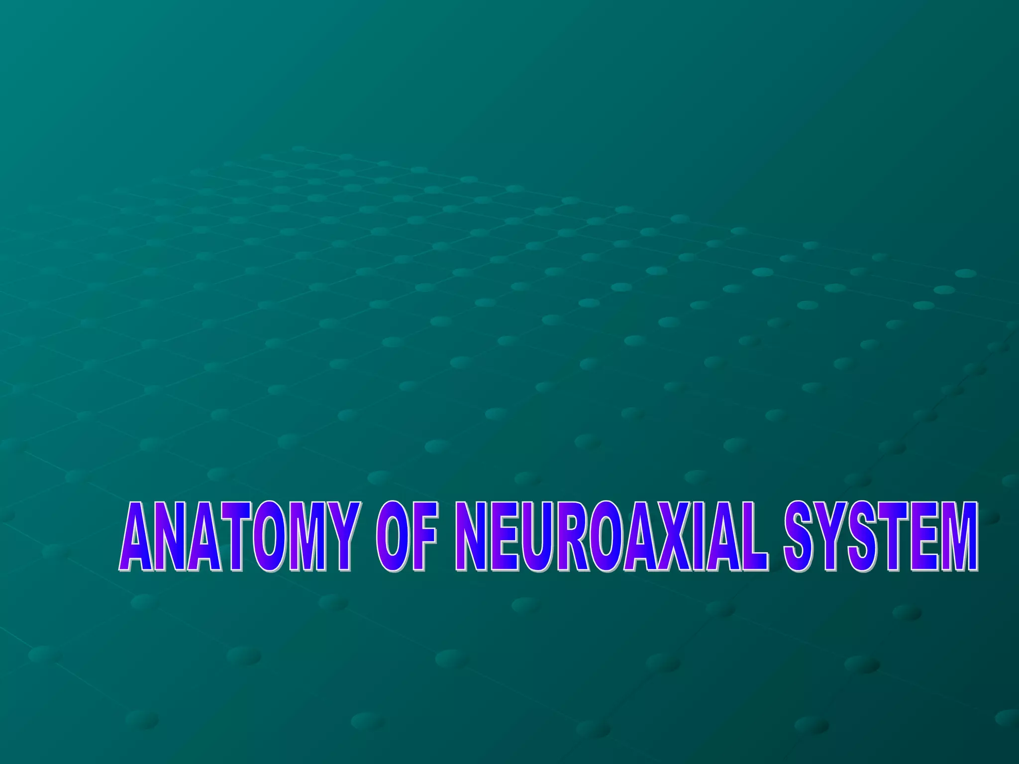 Anatomy of neuroaxial system final | PPT
