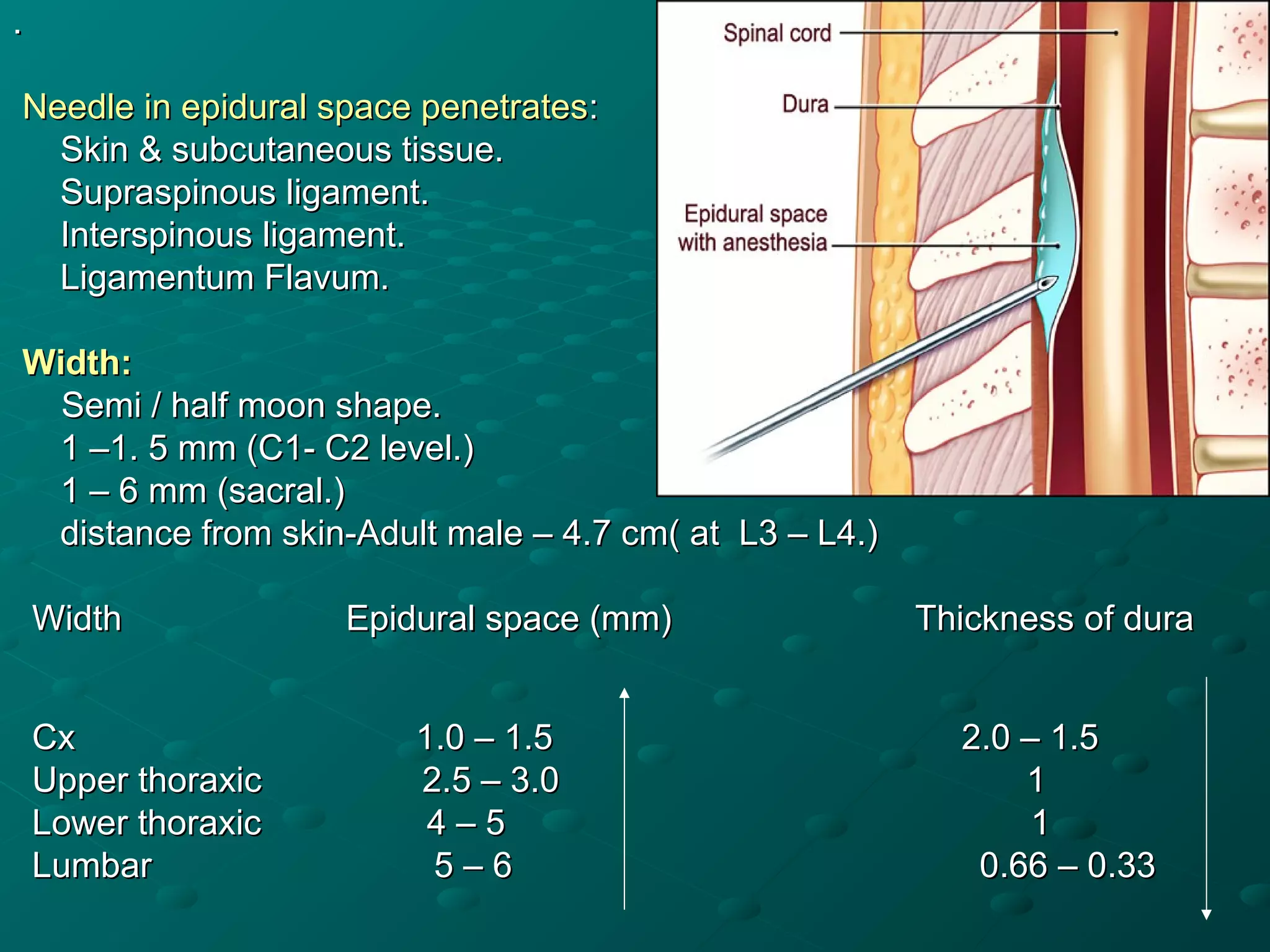 Anatomy of neuroaxial system final | PPT