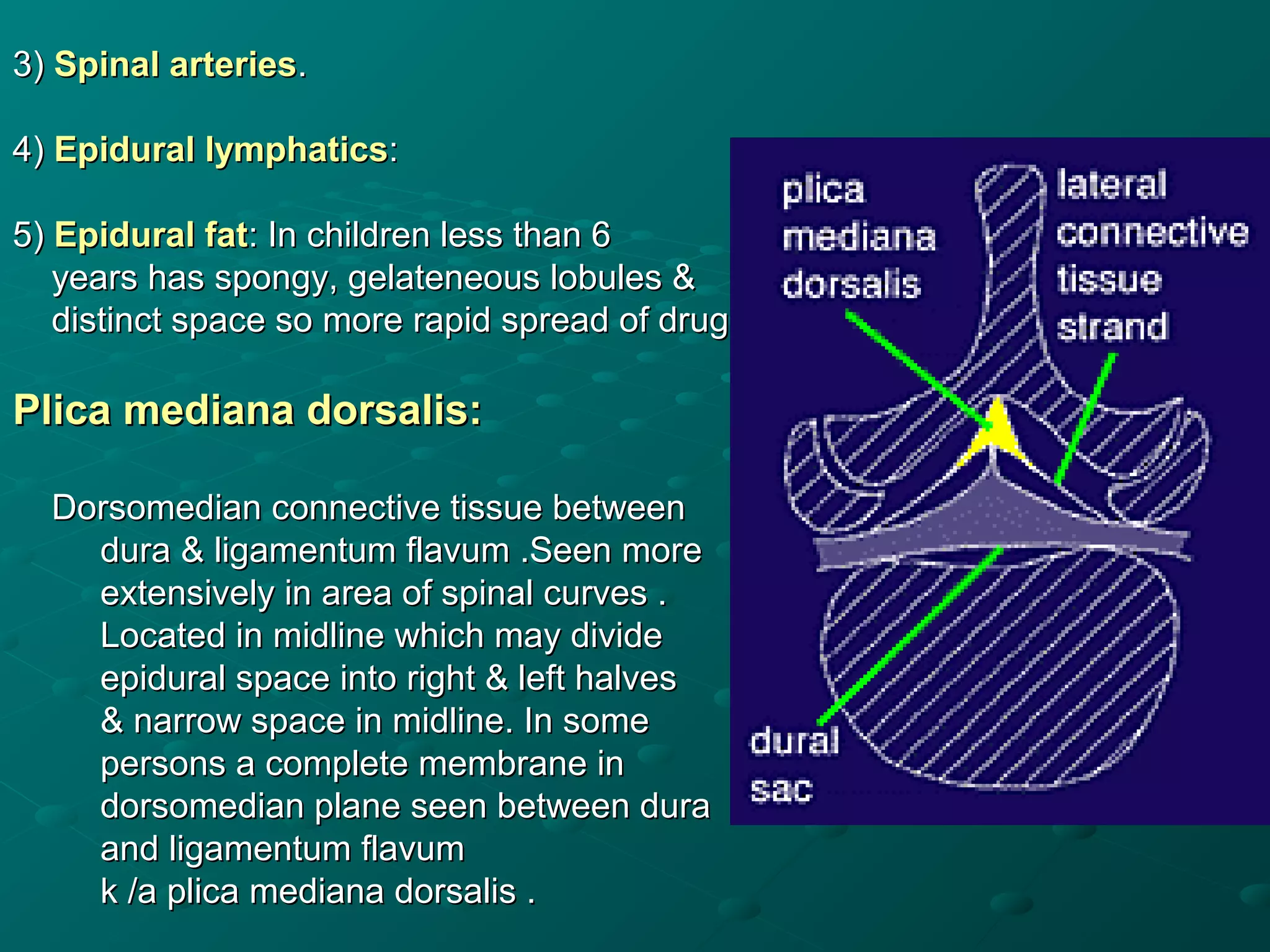 Anatomy of neuroaxial system final | PPT