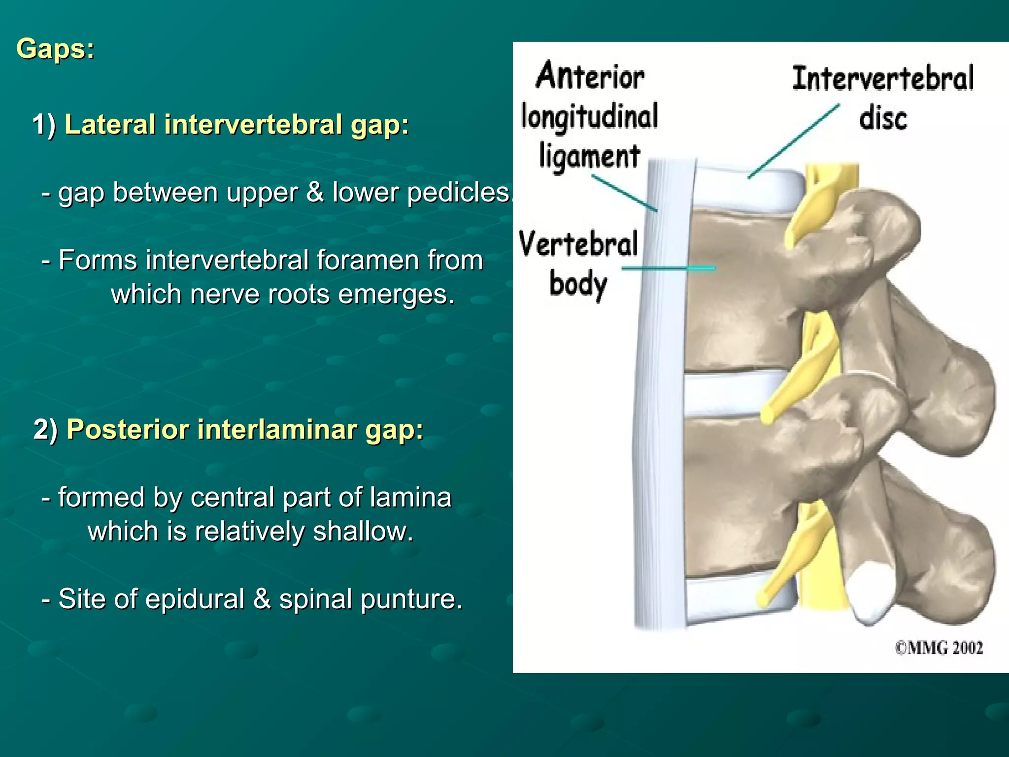 Anatomy of neuroaxial system final | PPT