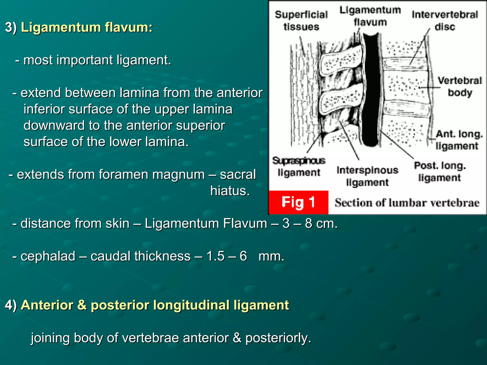Anatomy of neuroaxial system final | PPT