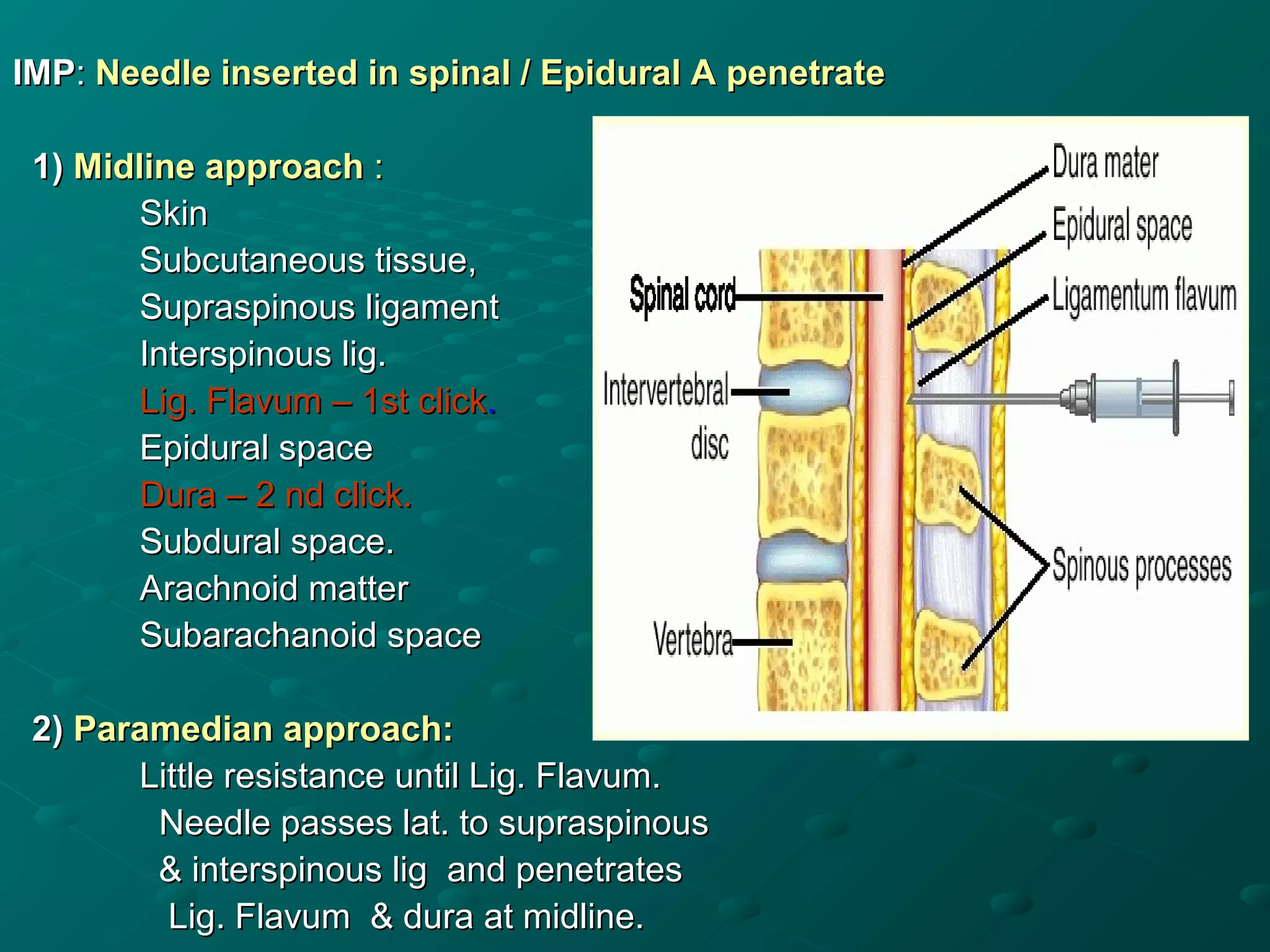 Anatomy of neuroaxial system final | PPT