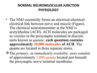 Anatomy of neuromuscular junction | PPT | Brain and Nervous System ...