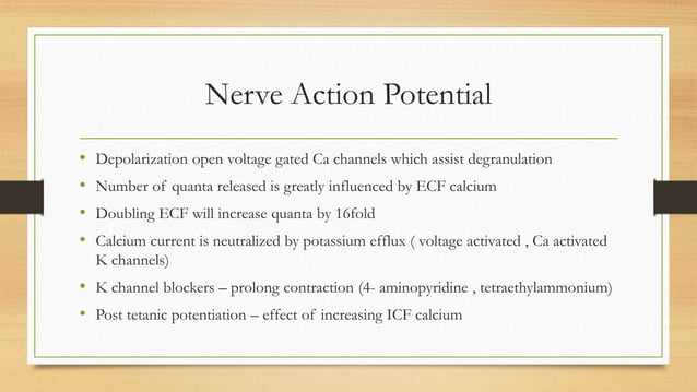 Anatomy of nmj | PPTX
