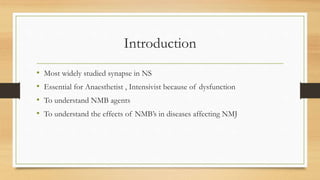 Anatomy of nmj | PPTX