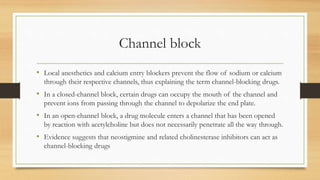 Anatomy of nmj | PPTX