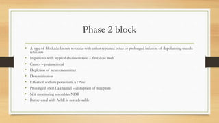 Anatomy of nmj | PPTX