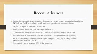 Anatomy of nmj | PPTX