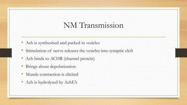 Anatomy of nmj | PPTX