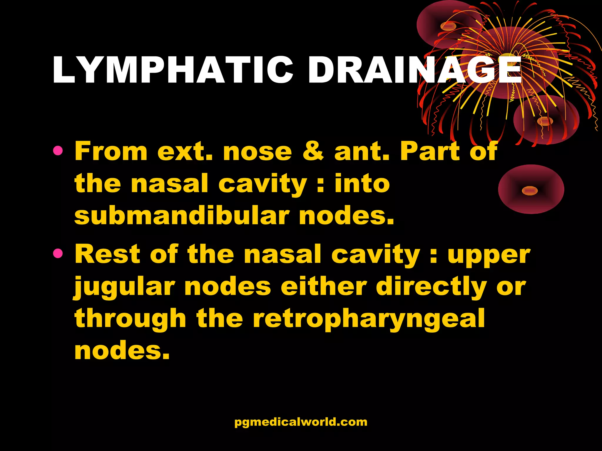 Anatomy of nose | PPT