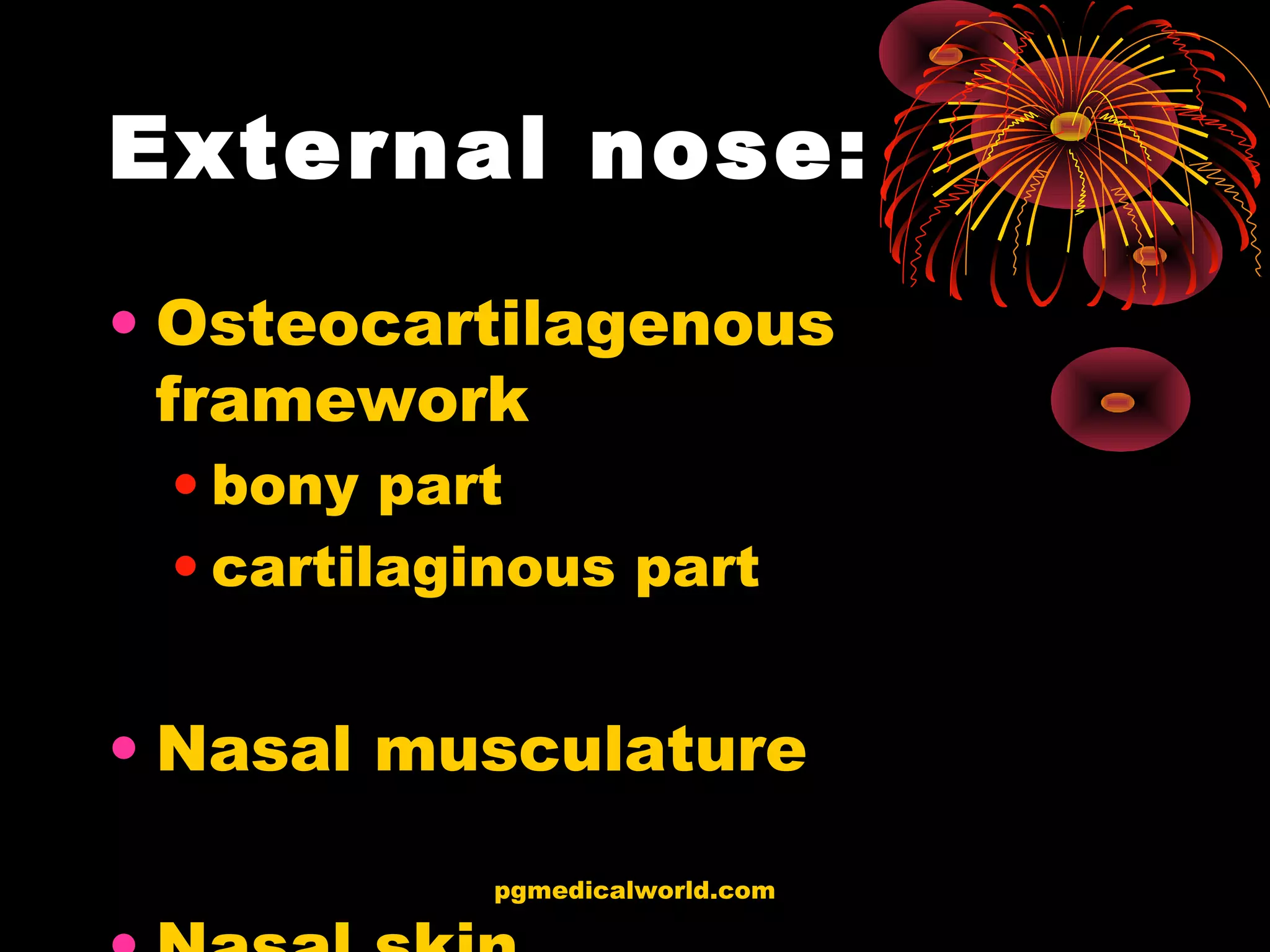 Anatomy of nose | PPT