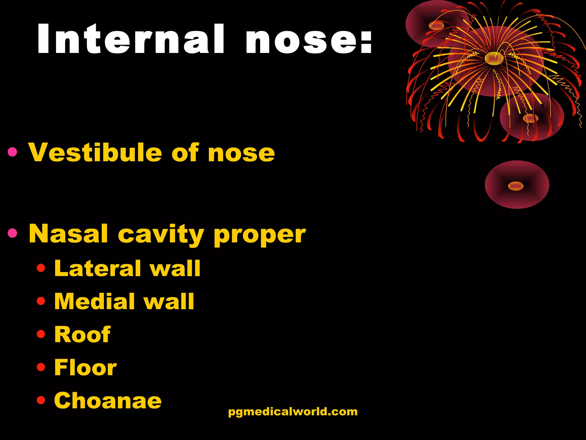 Anatomy of nose | PPT