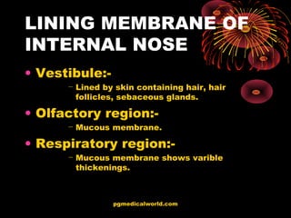 Anatomy of nose | PPT