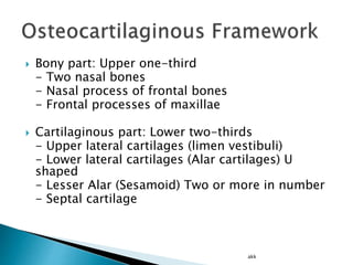 Anatomy of nose | PPTX