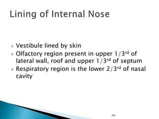 Anatomy of nose | PPTX