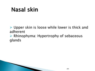 Anatomy of nose | PPTX