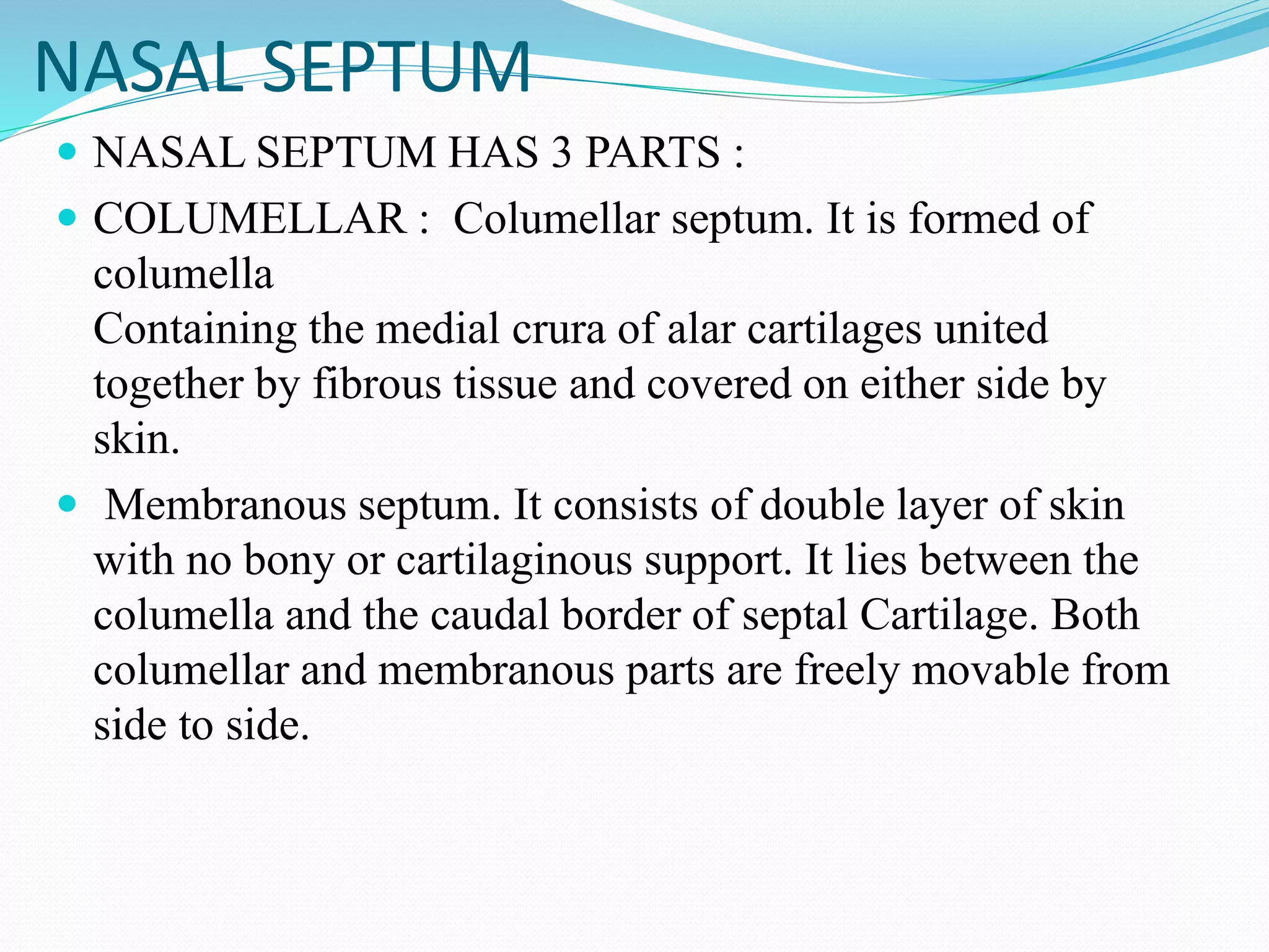 Anatomy of nose | PPTX