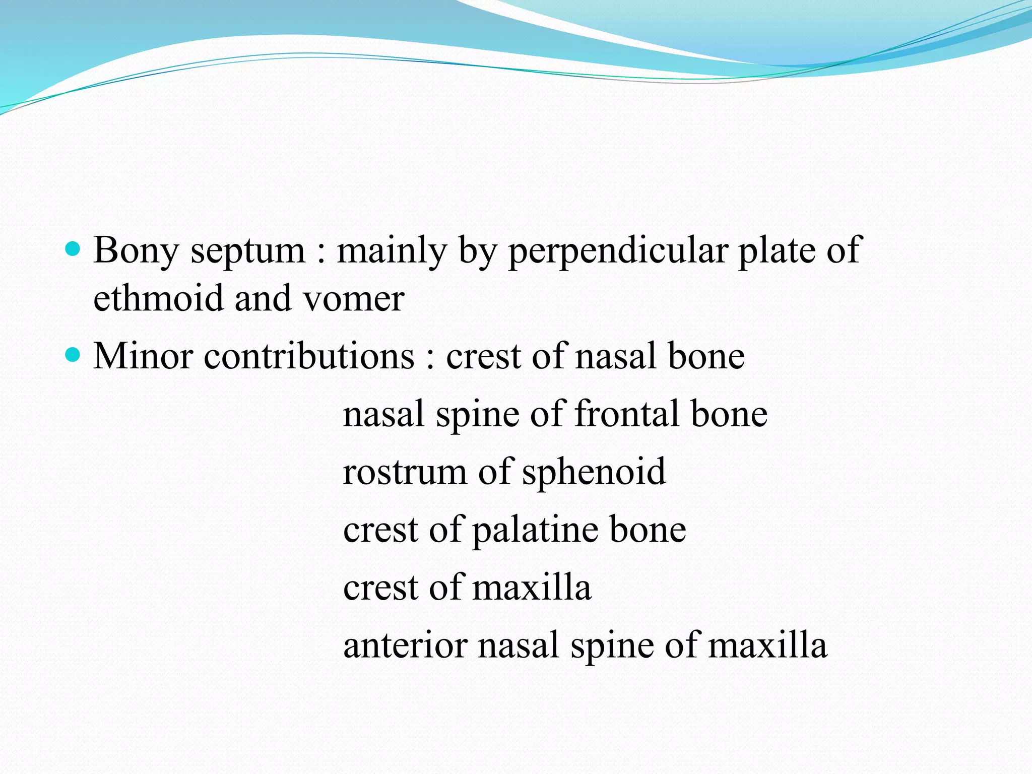 Anatomy of nose | PPTX
