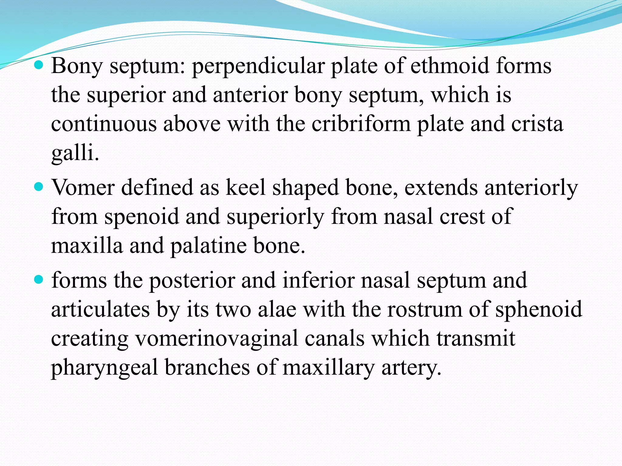 Anatomy of nose | PPTX