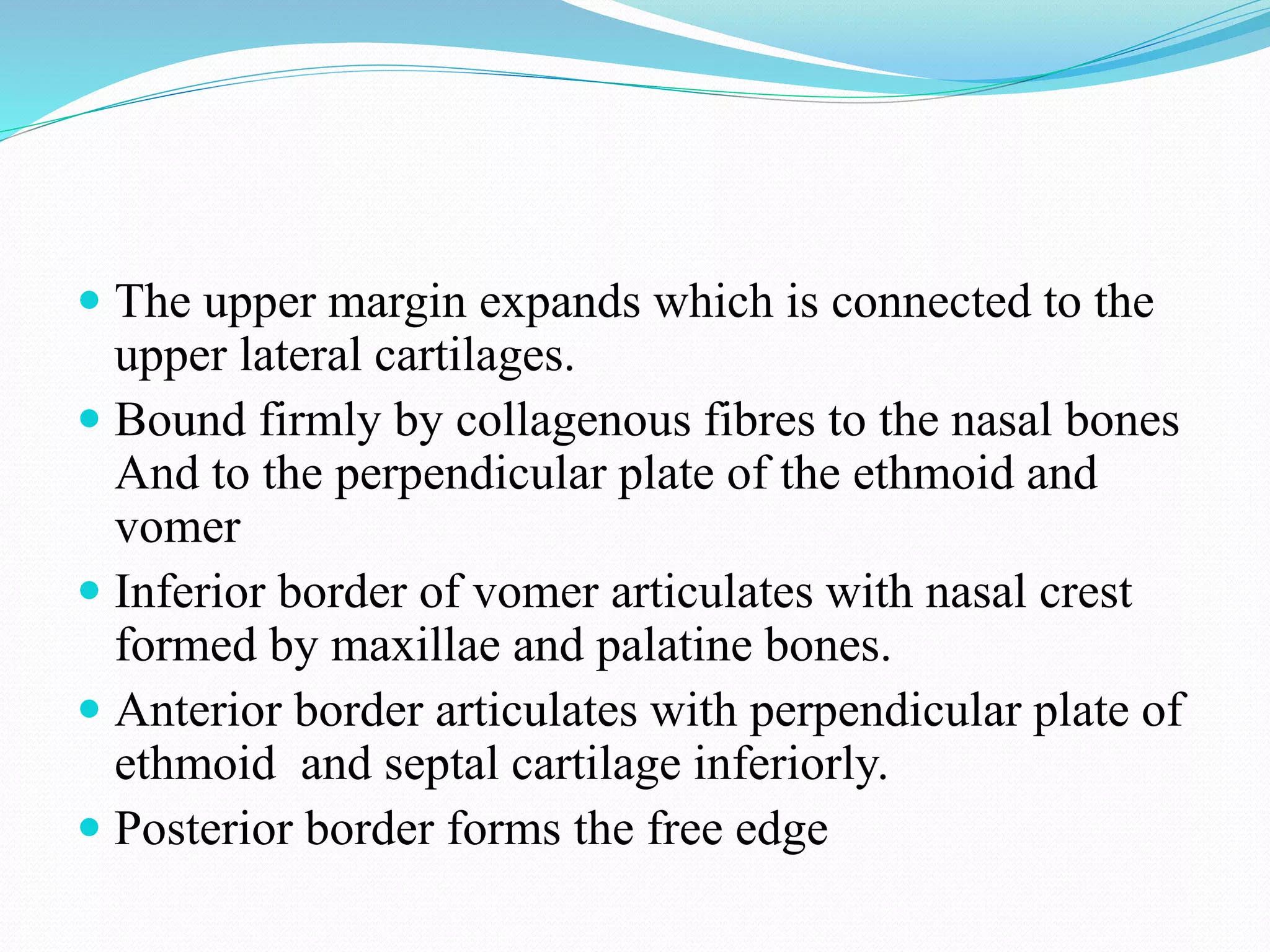Anatomy of nose | PPTX