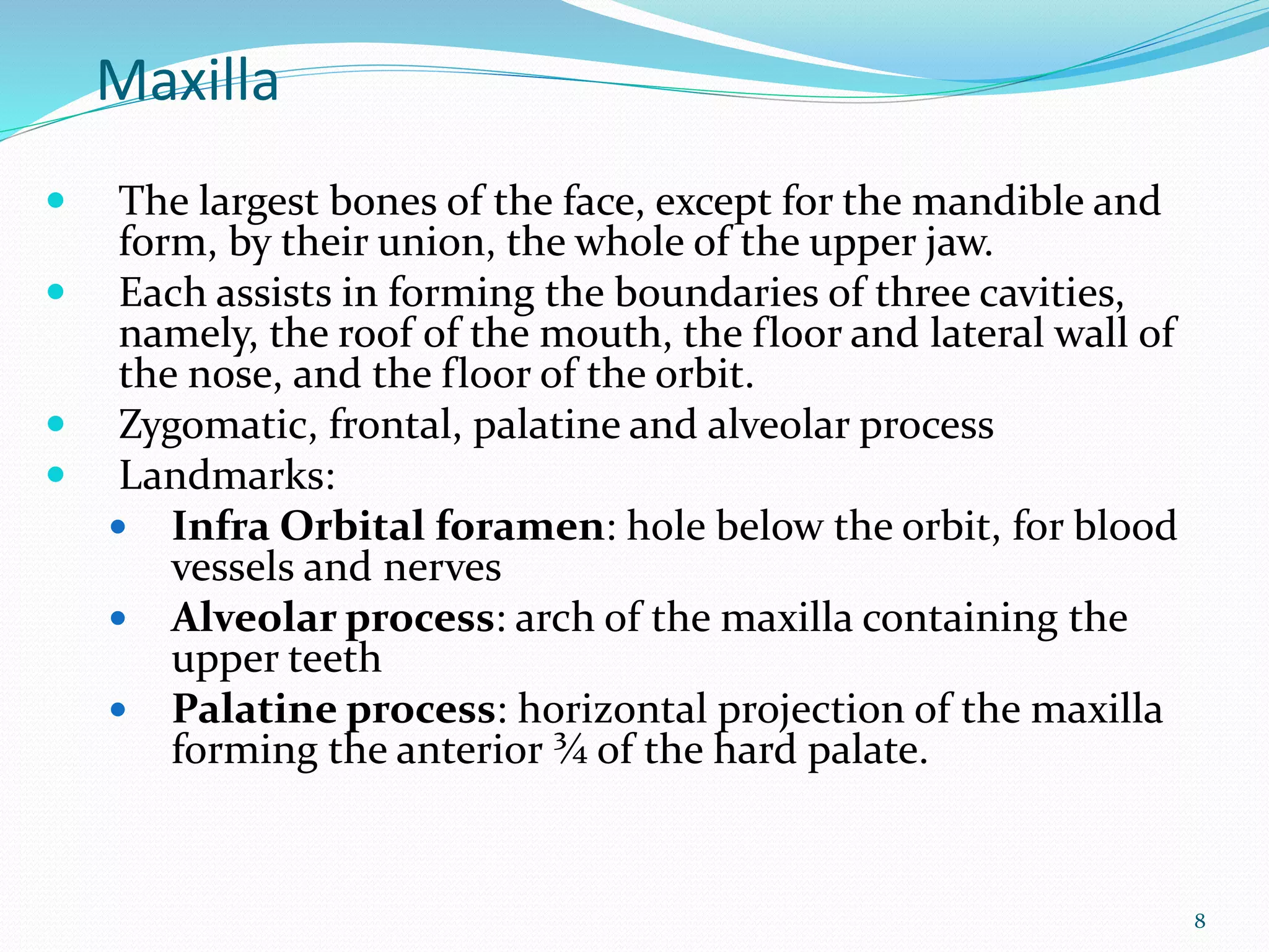 Anatomy of nose | PPTX