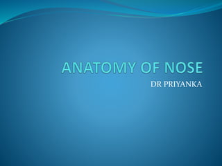 Anatomy of nose | PPTX