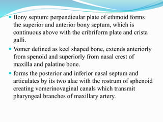 Anatomy of nose | PPTX